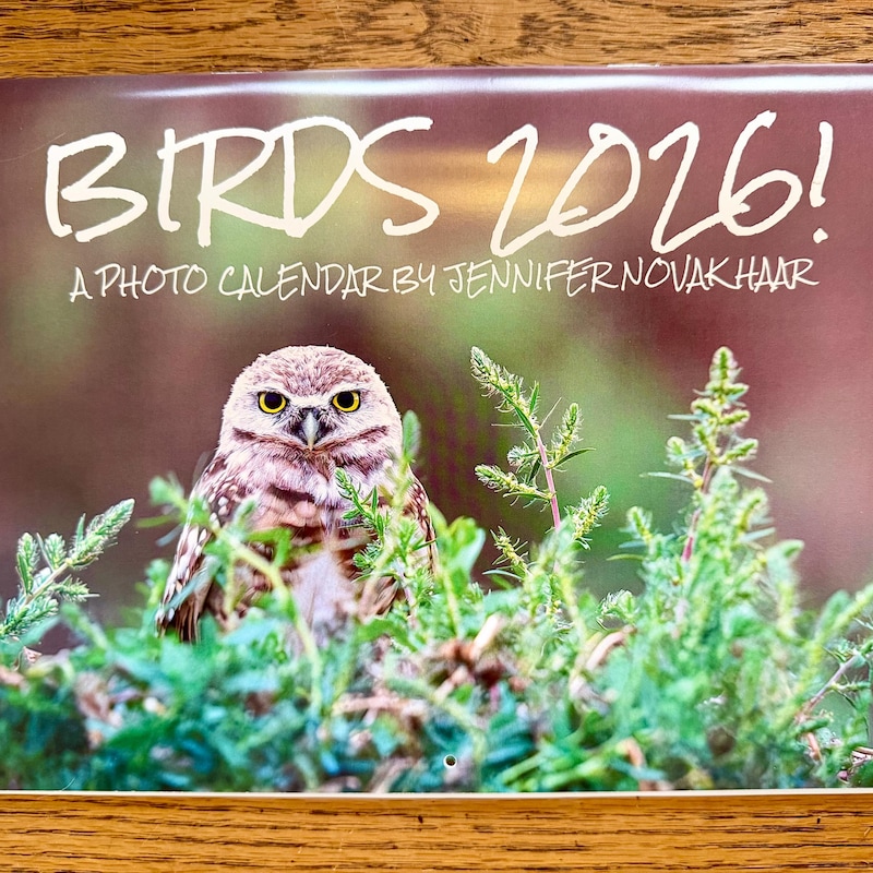 2026 Bird Calendars - Etsy