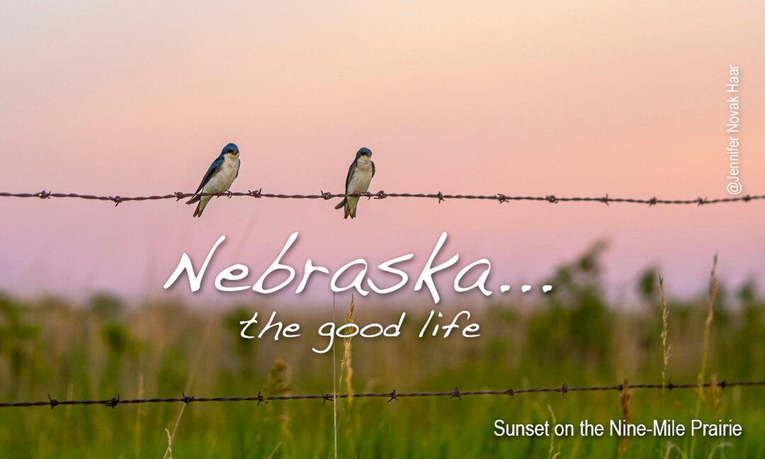 Nebraska the Good Life Photo Magnet- Birds at Sunset - Etsy
