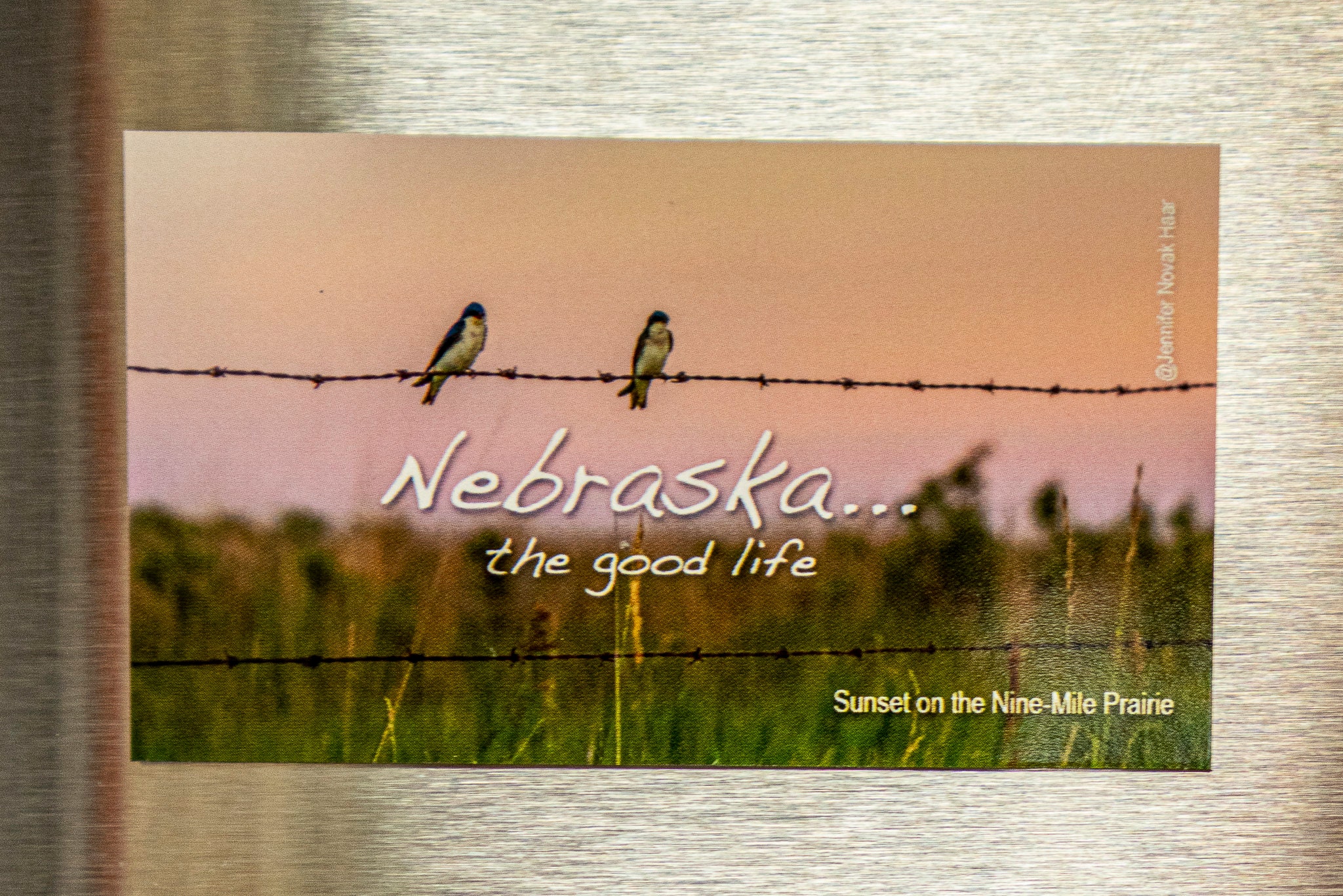 Nebraska the Good Life Photo Magnet Birds at Sunset - Etsy