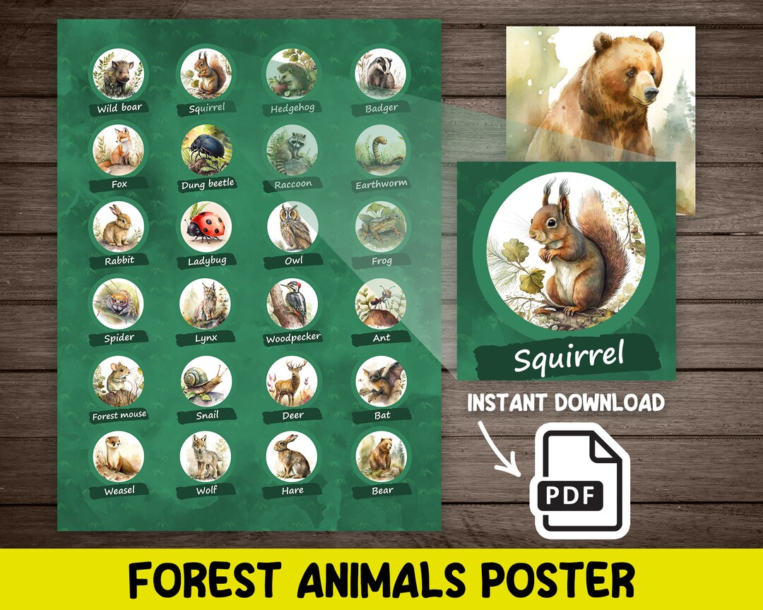 Forest Animals Poster for Kids Forest Animals Art Wallpaper With 24 ...
