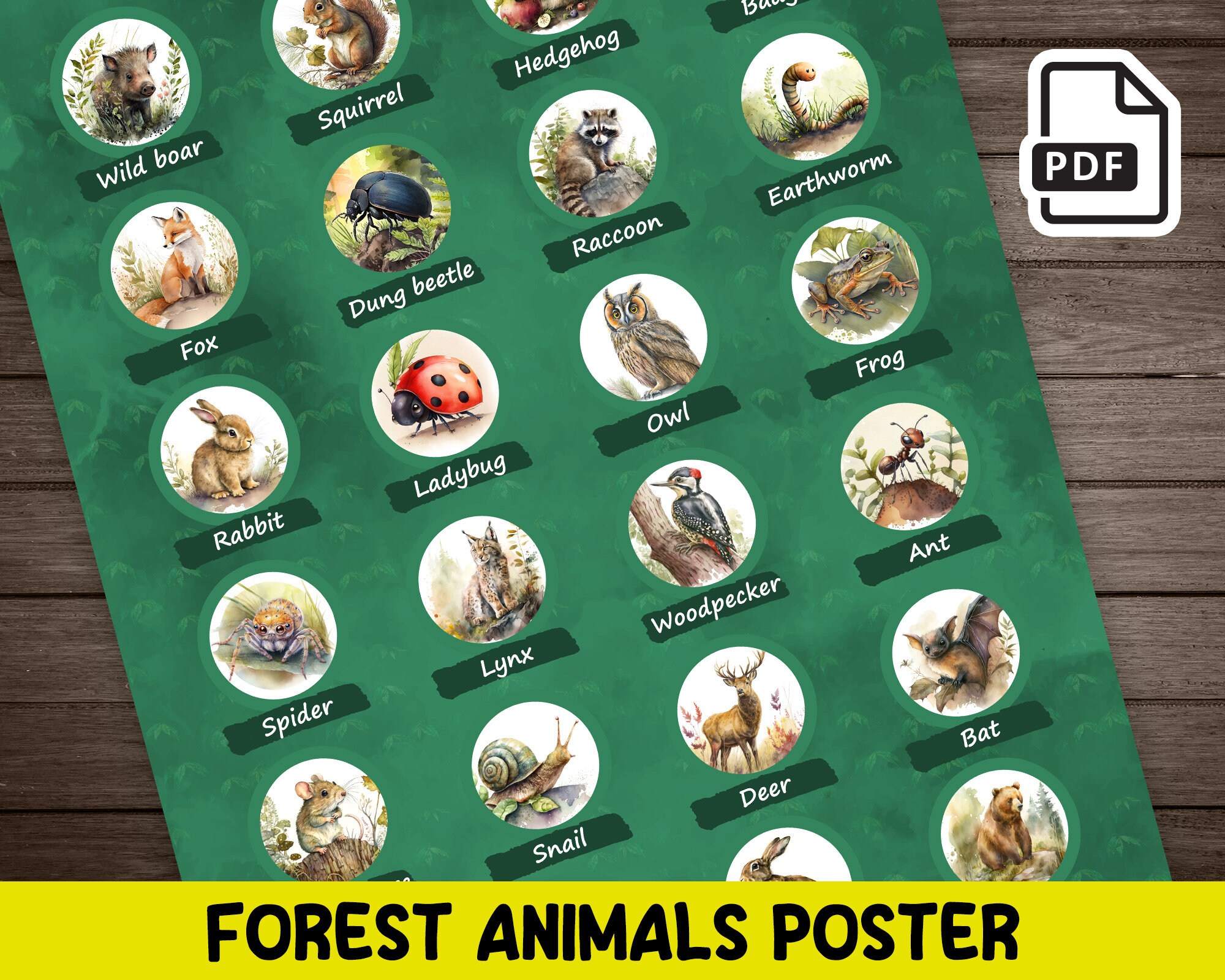 Forest Animals Poster for Kids Forest Animals Art Wallpaper With 24 ...