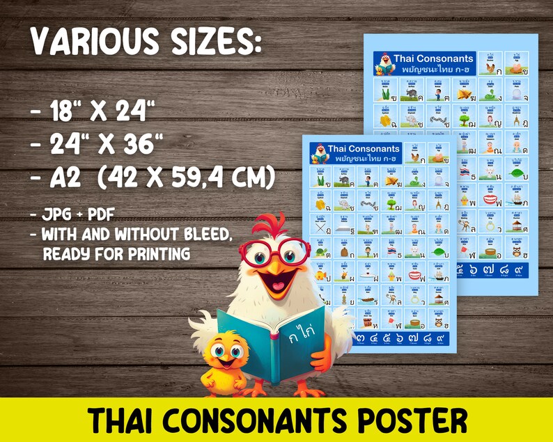 Thai Alphabet Learning Poster for Children Poster With Thai - Etsy