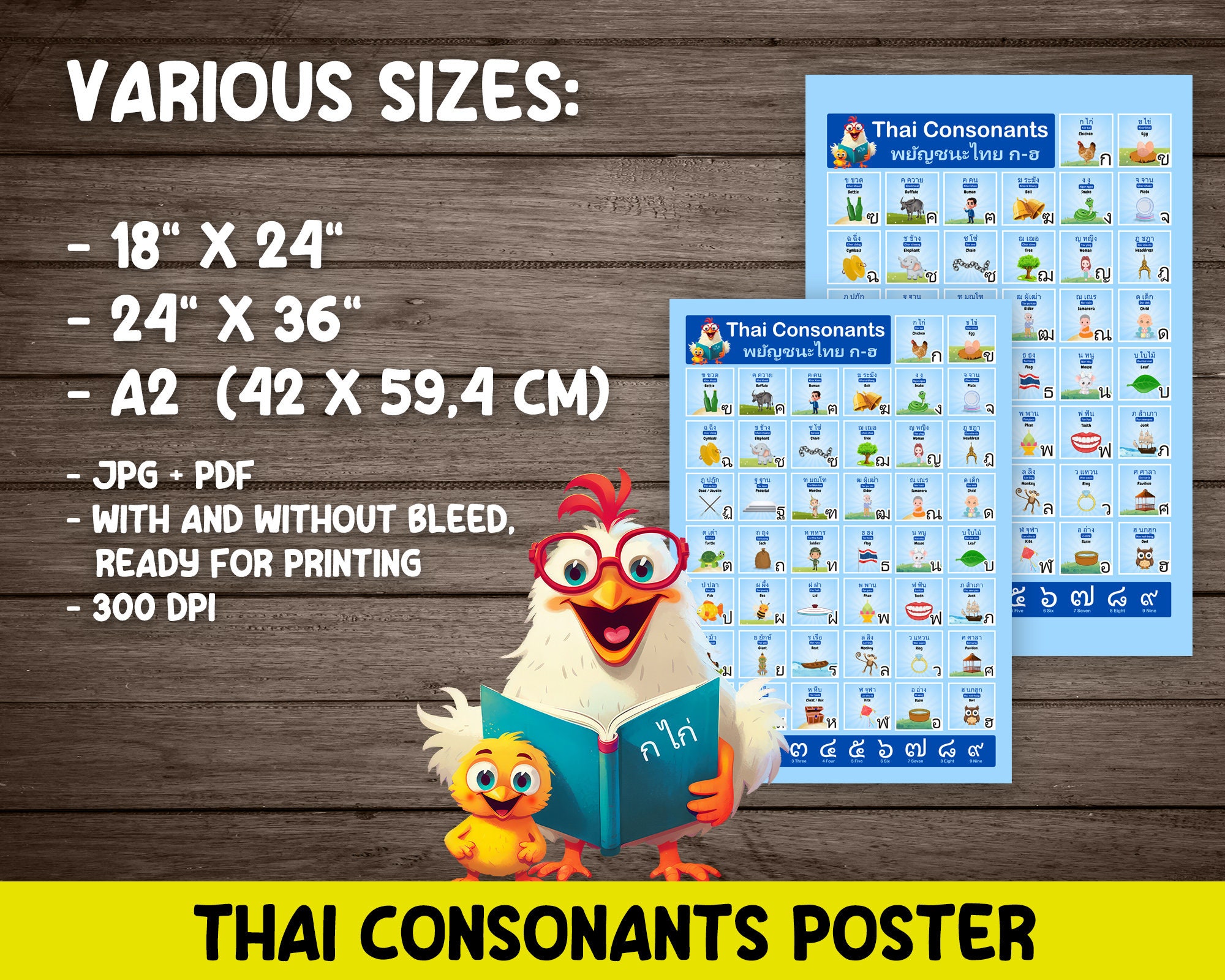 Thai Alphabet Learning Poster for Children Poster With Thai Consonants ...