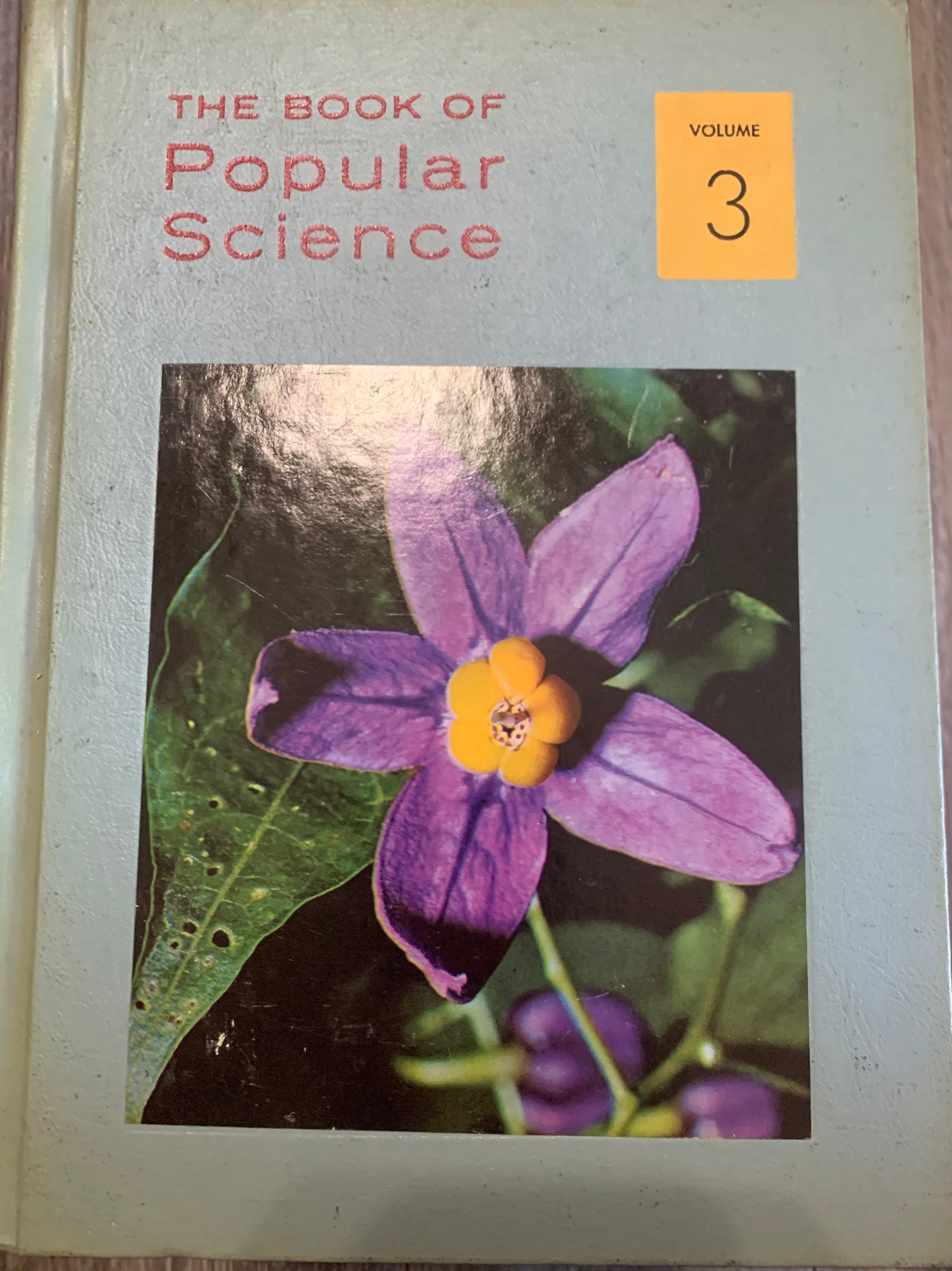 1973 the Book of Popular Science - Etsy