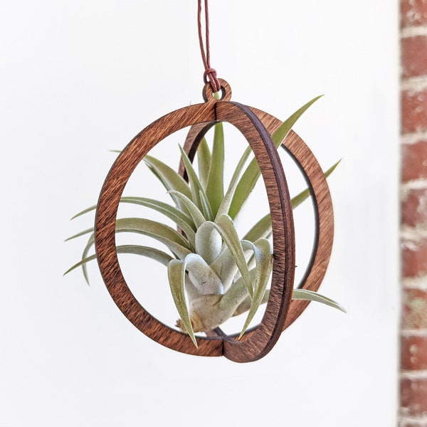 Air Plant Hanger - Etsy