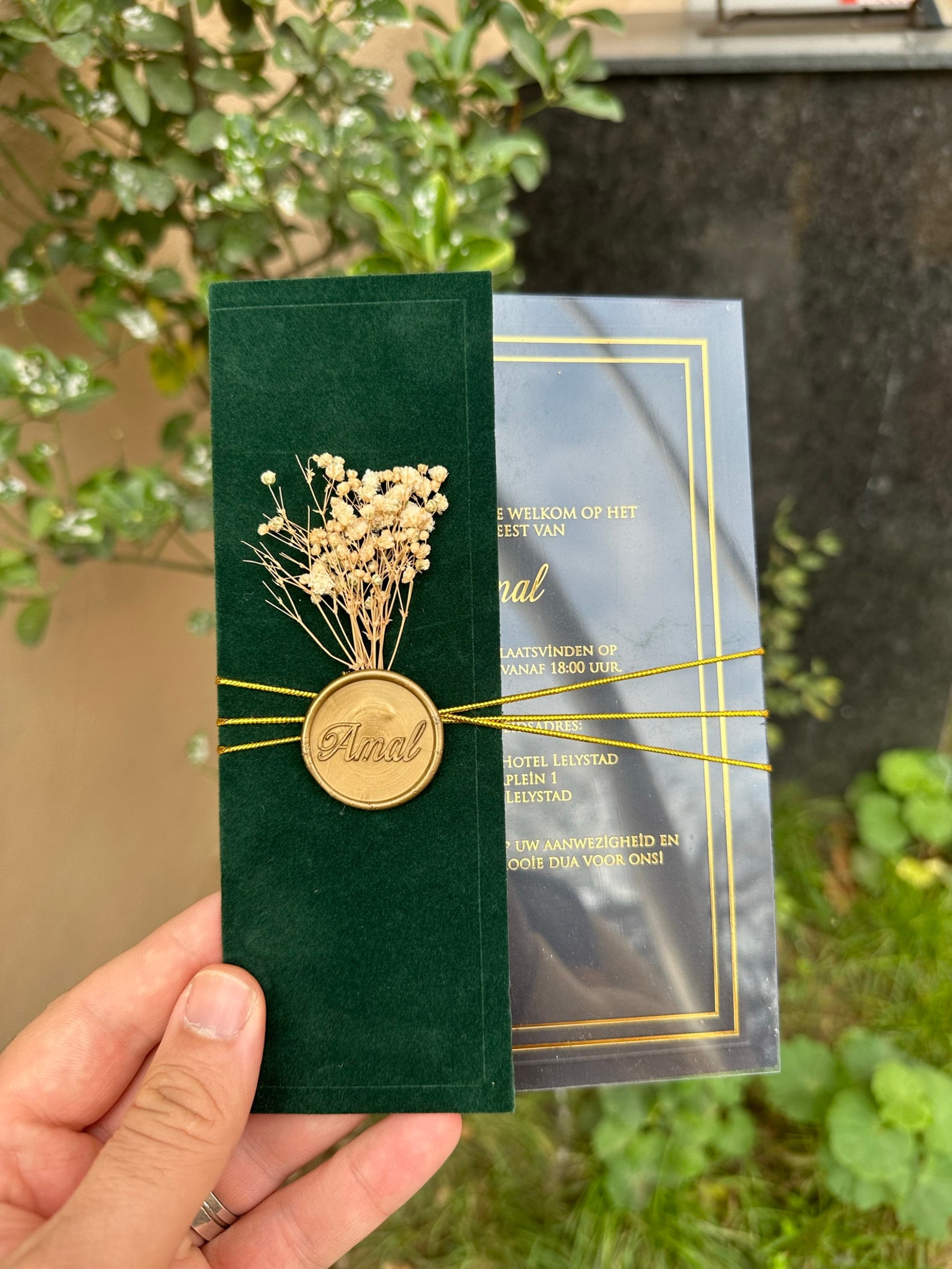 Luxury Velvet Transparent PVC Birthday Invitations, Green Invitation ...