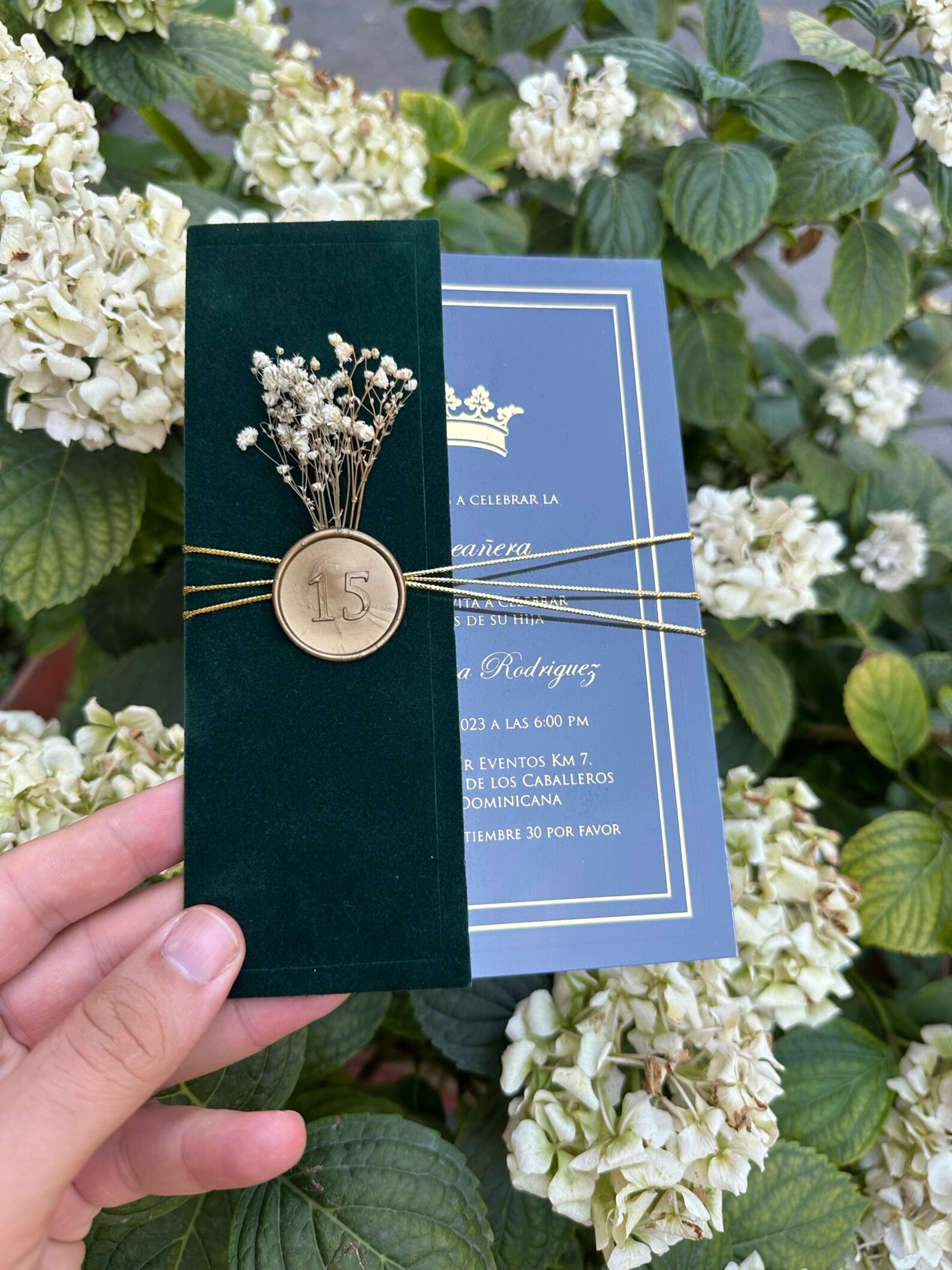 Luxury Velvet Transparent PVC Birthday Invitations, Green Invitation ...