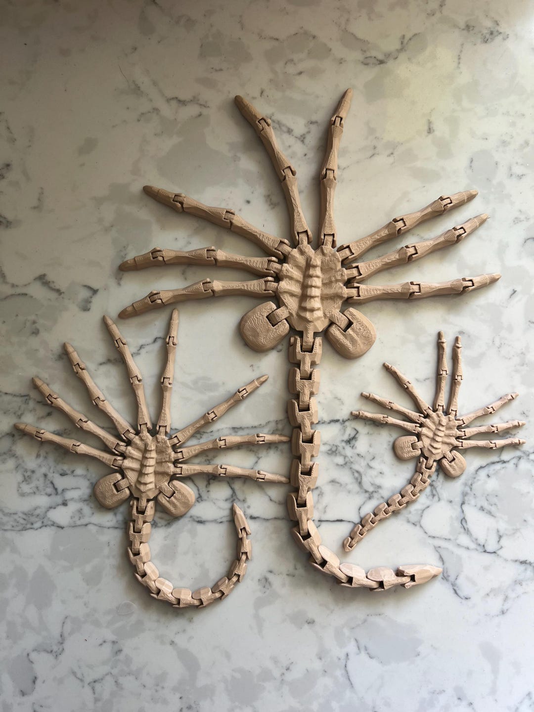3D Printed Alien Movie Facehugger - Articulated - Etsy