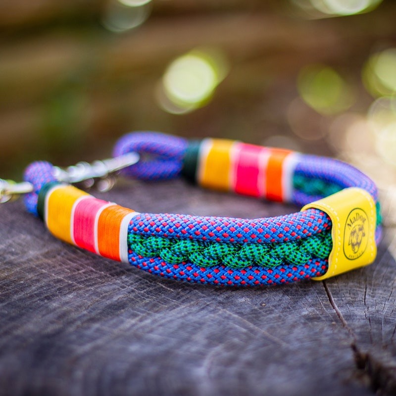 Fun Dog Collar - Etsy