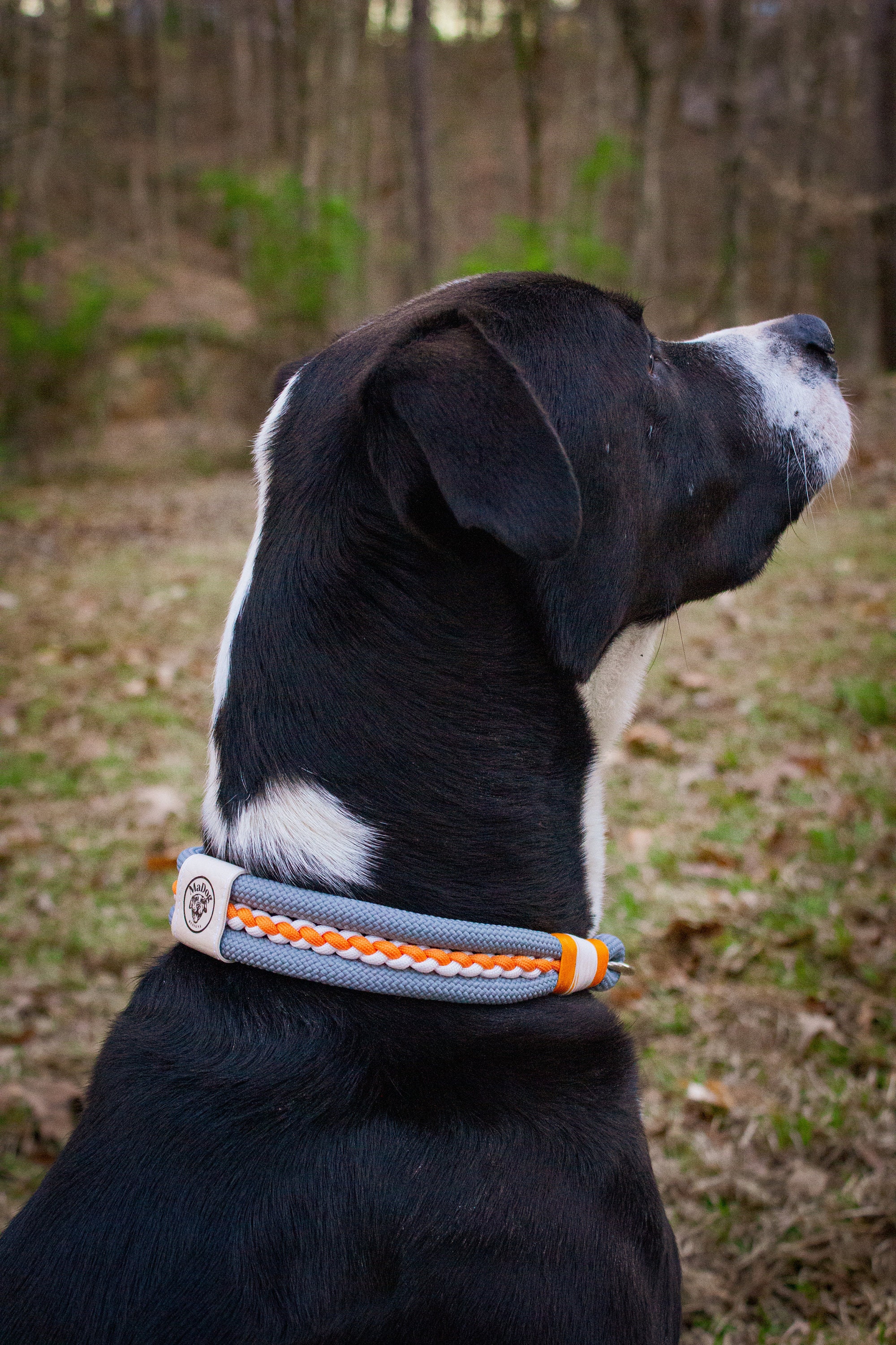 Handmade Rope Dog Collar: Braided Paracord, Orange Accent - Etsy