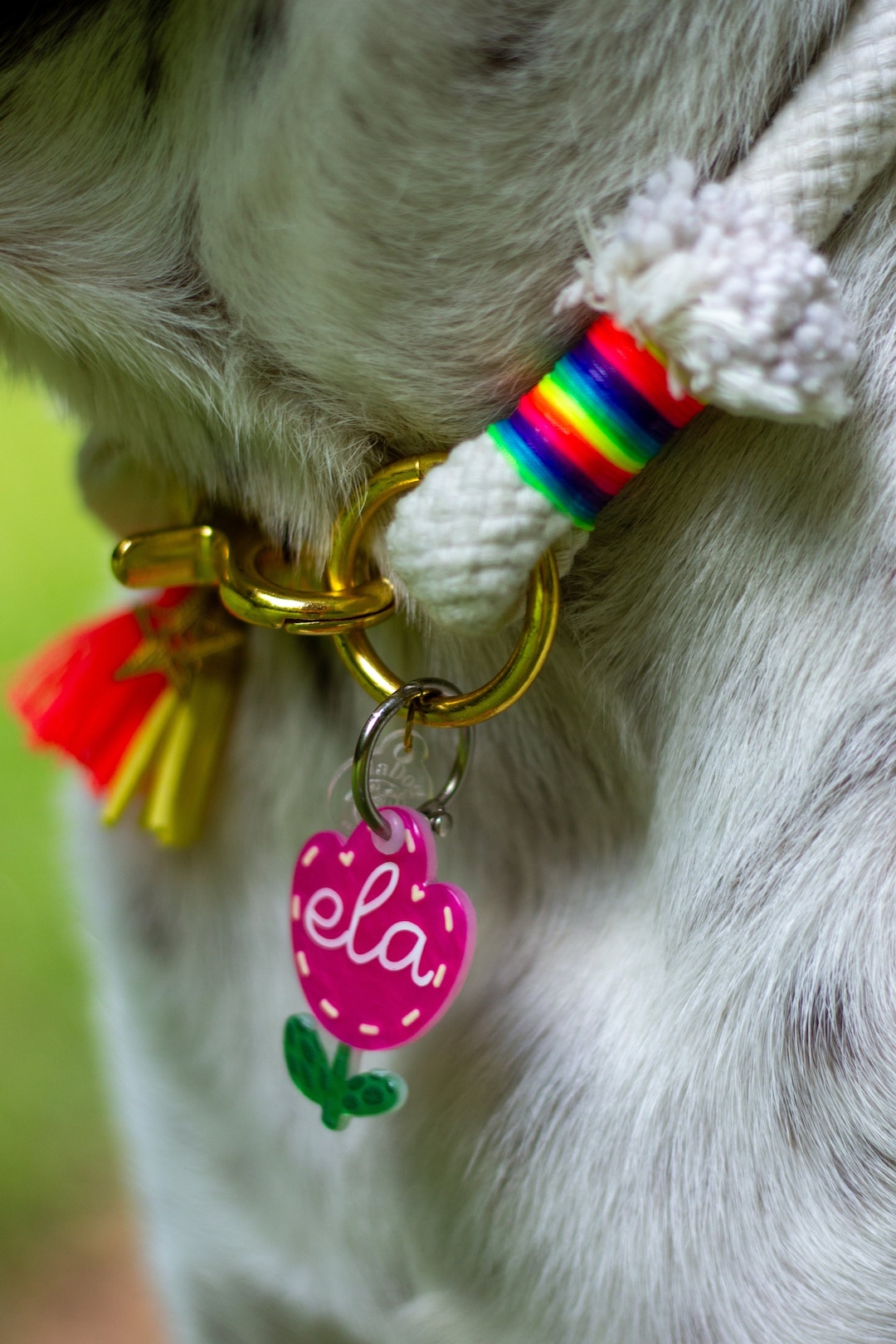 Dog ID Tag Flower Cute Acrylic Quiet Dog Tag for Collar Dog Tag for Dog ...