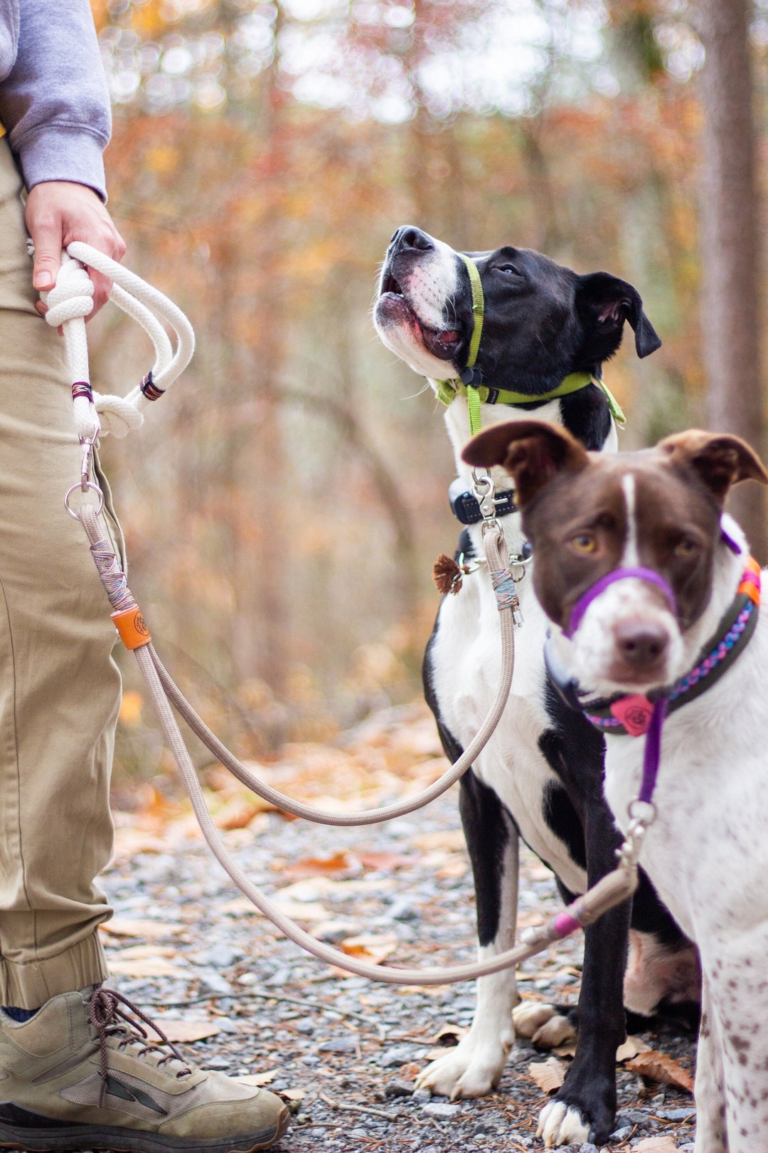 Dog Leash Coupler Double Dog Lead Two Dog Leash Splitter Rope Tangle ...