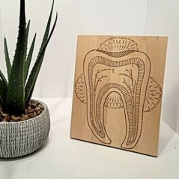 Tooth Diagram - Etsy