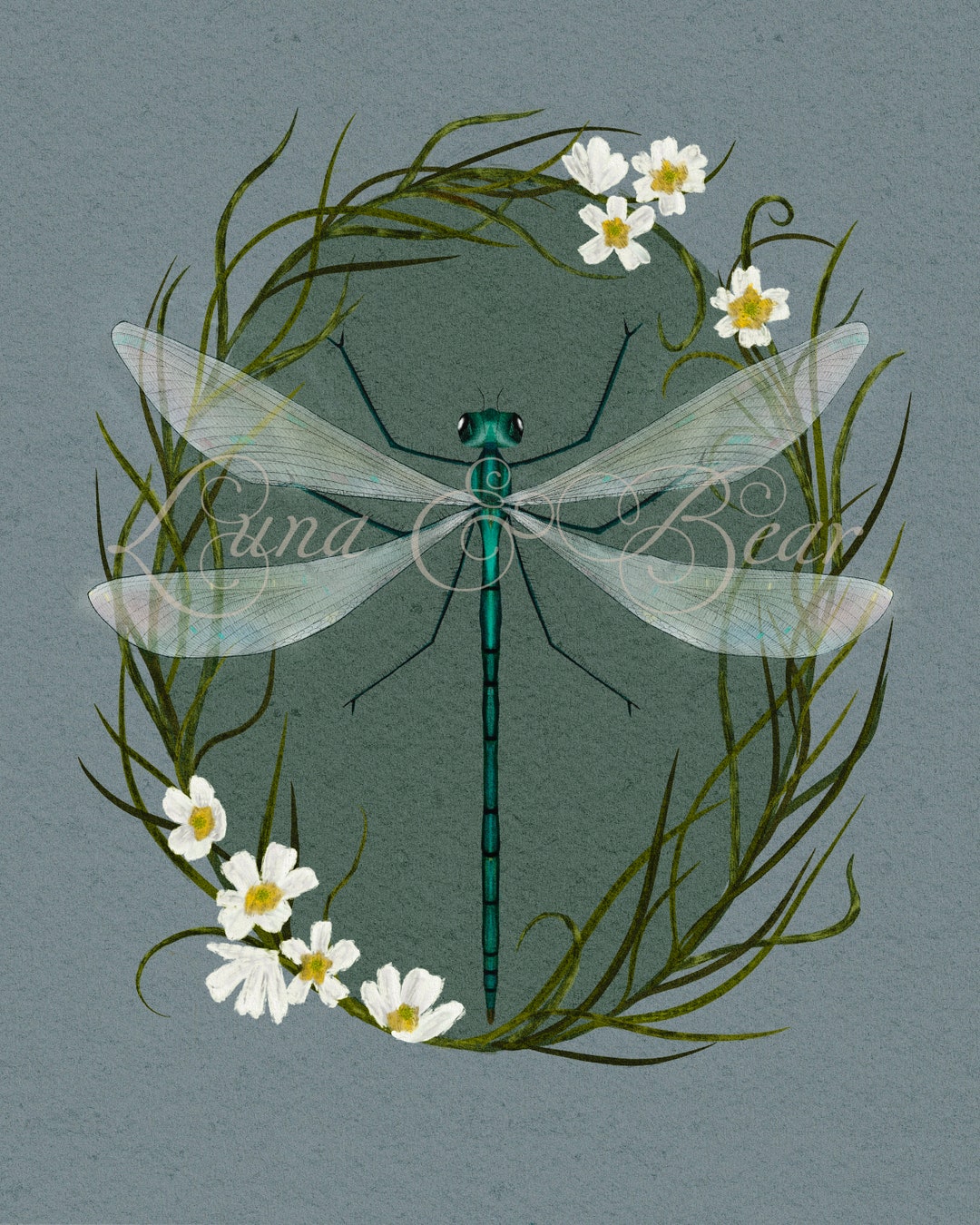 Damsel Damselfly Nature Art Print - Etsy