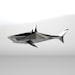 Template Diy for Metal Sculpture Pattern of Shark Low Poly Model in DXF ...
