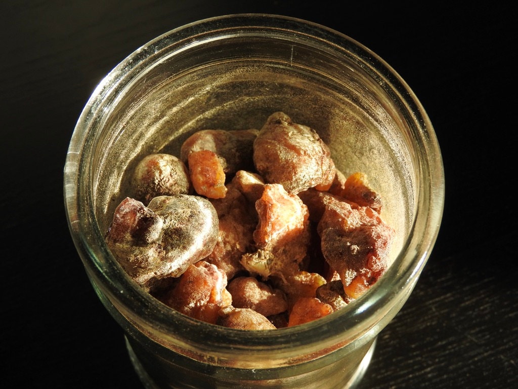 Ponderosa Pine Resin pinus Ponderosa | Etsy