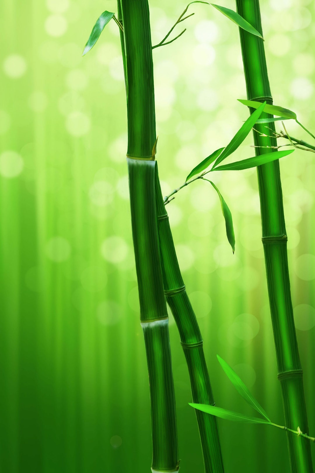 Feng Shui Wall Art - Bamboo, Printable, Southeast/east Wall Art, Feng ...