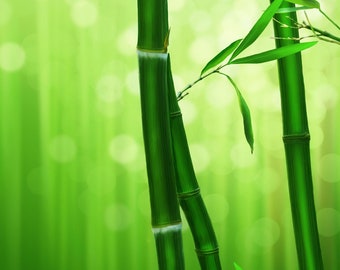 Feng Shui Wall Art - Waterfalls, Printable, Wall Art for Living Room ...