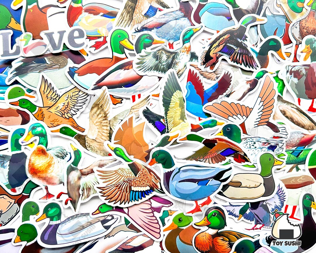 50 Pcs "duck Mallard" Vinyl Stickers Pack – Birdwatching Gift, Nature ...