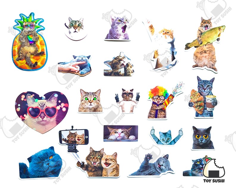 67 Pcs cat Lovers Sticker Pack Kitten Play Cat - Etsy