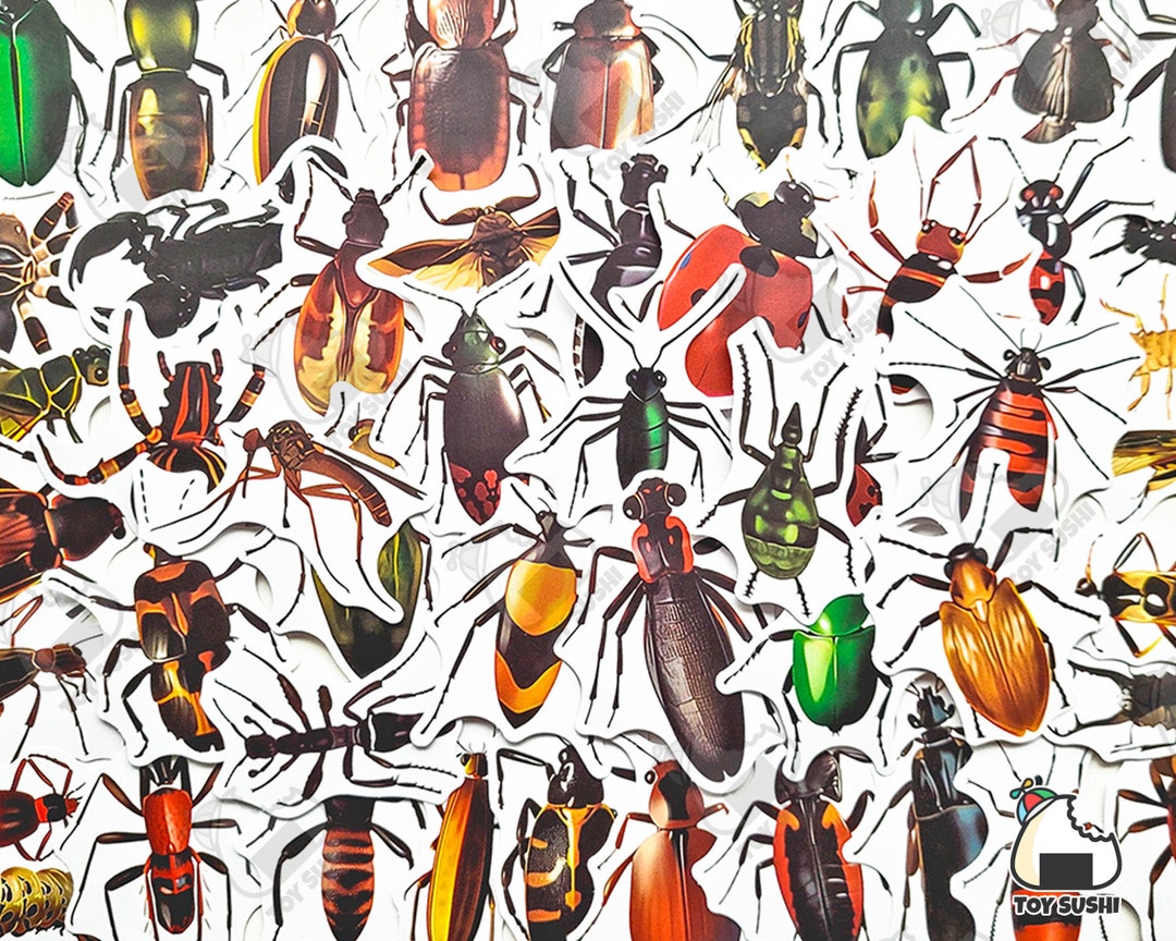 50 Pcs "insects & Bugs" Sticker Pack | Entomology | Scorpion | Insect ...