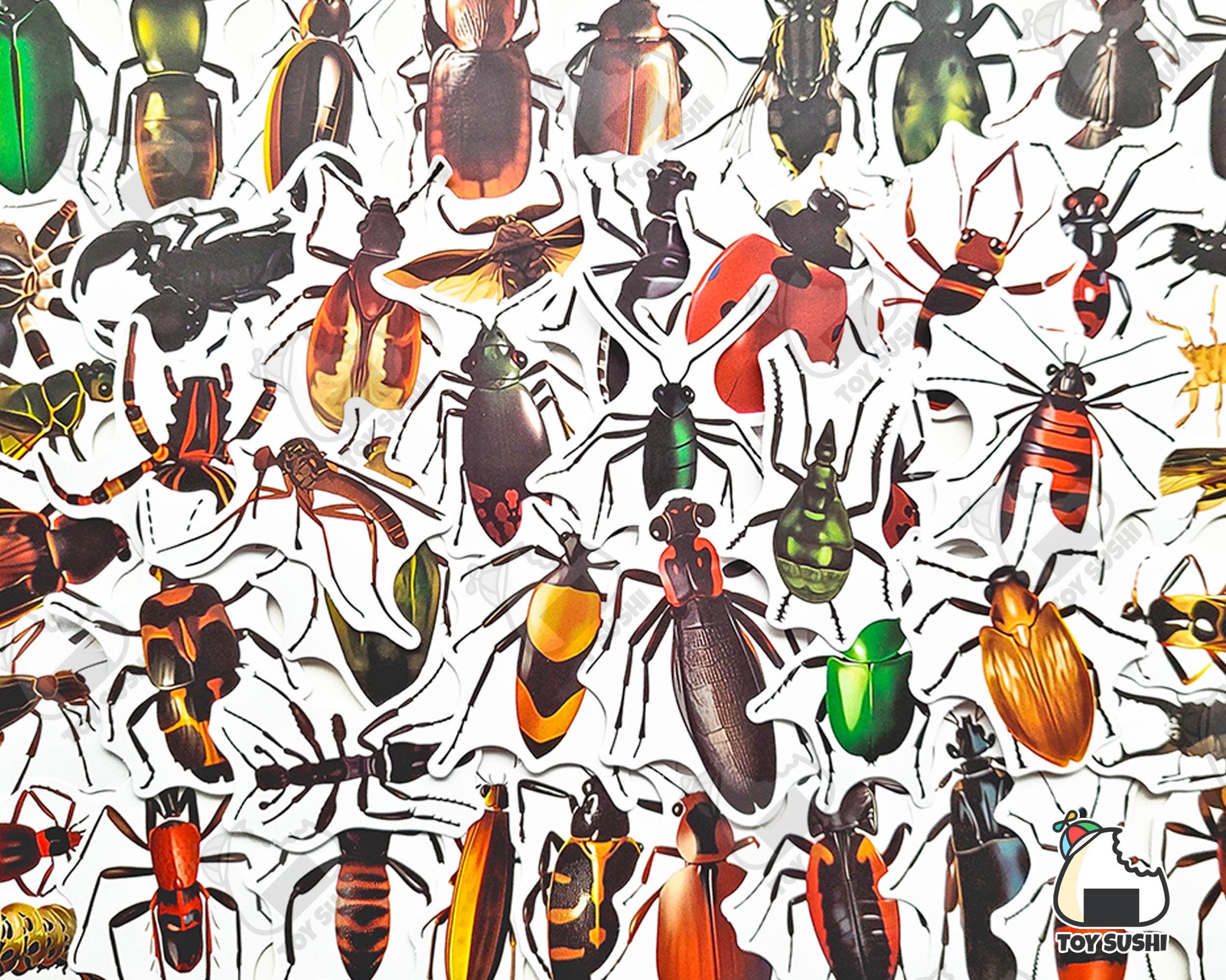 50 Pcs insects & Bugs Sticker Pack Entomology - Etsy