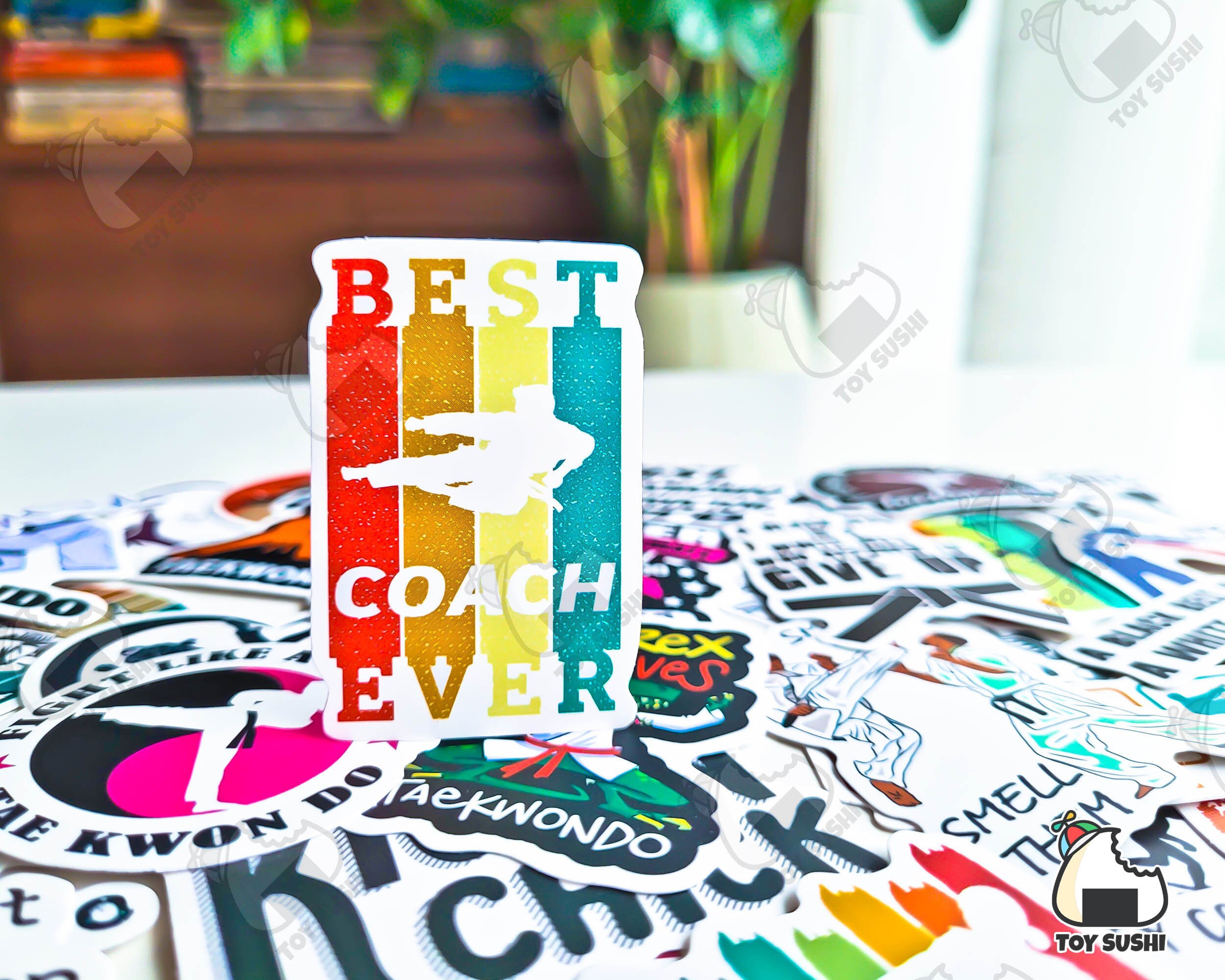 50 Pcs taekwondo Sticker Pack Black Belt Water - Etsy