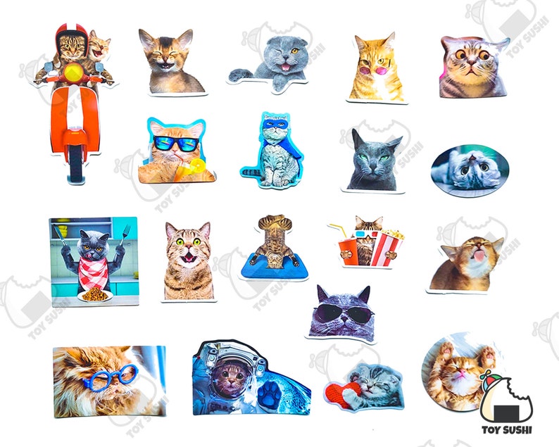 67 Pcs cat Lovers Sticker Pack Kitten Play Cat - Etsy