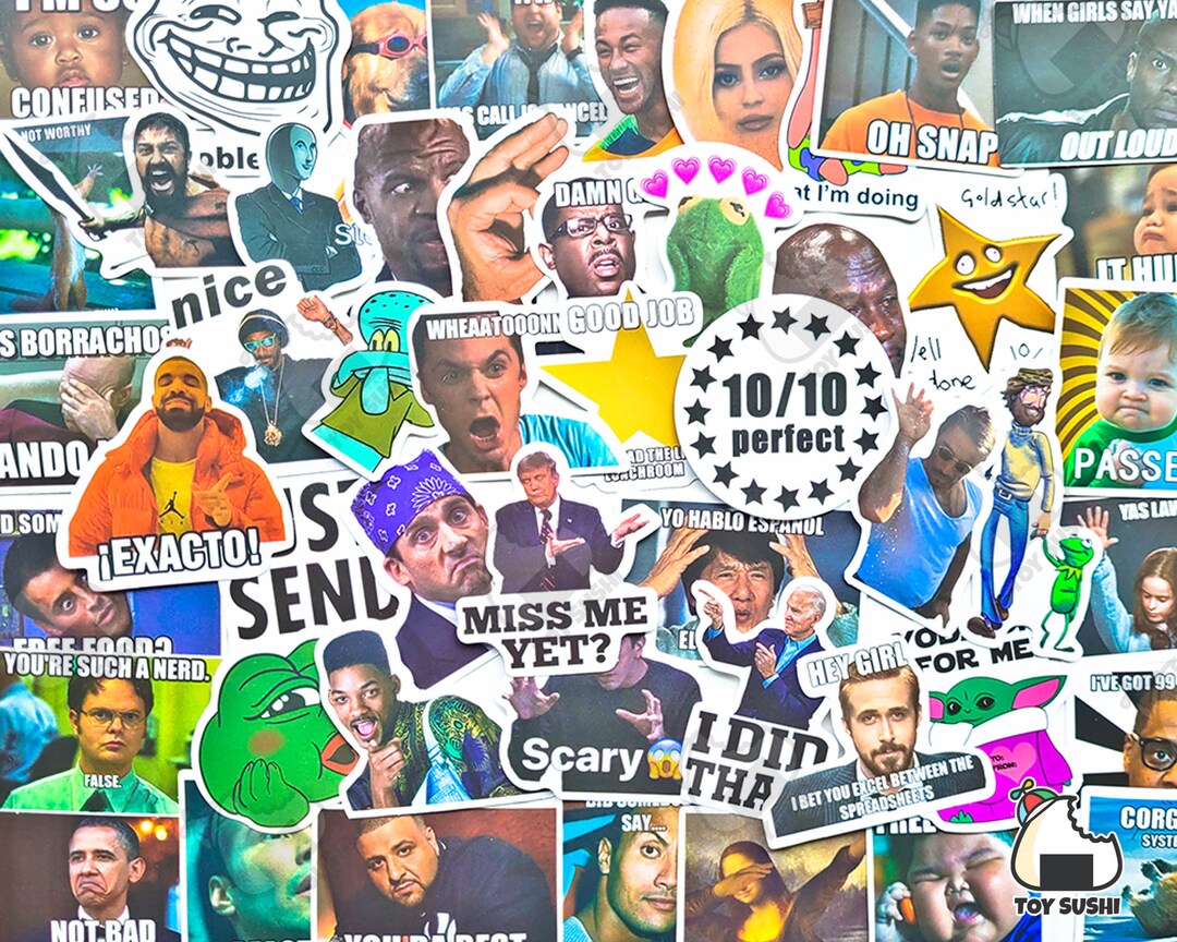 50 Pcs "meme Quotes" Sticker Pack | Gift for Her | Friendship | Meme ...