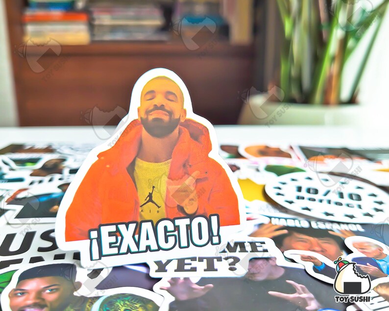 50 Pcs meme Quotes Sticker Pack Gift for Her - Etsy