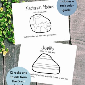 Printable Coloring Book of Rocks and Fossils - Etsy