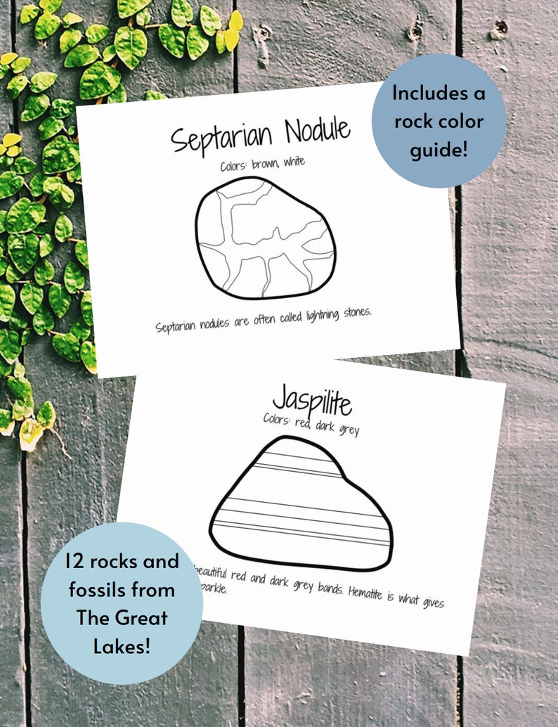 Printable Coloring Book of Rocks and Fossils - Etsy