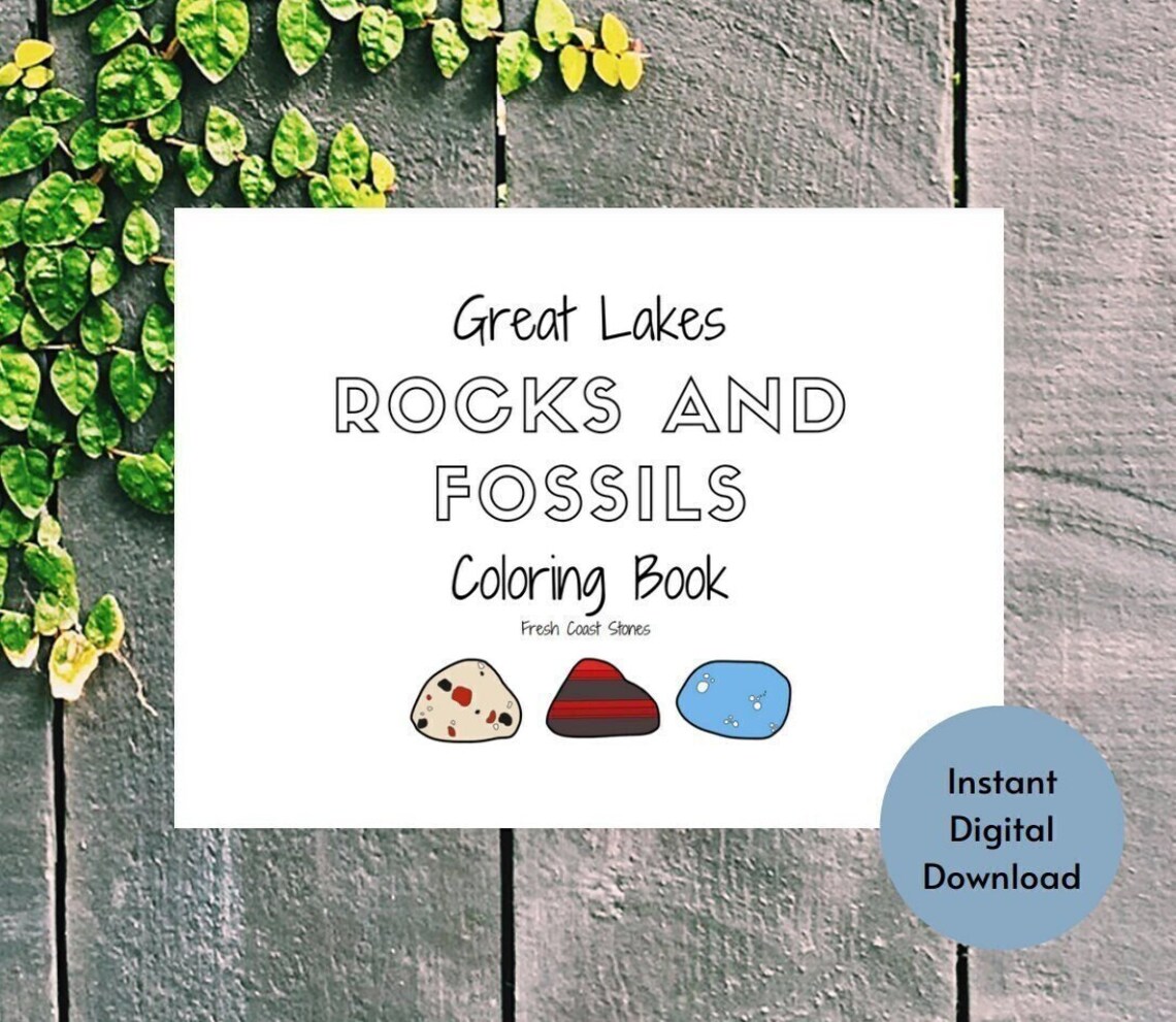 Printable Coloring Book of Rocks and Fossils - Etsy