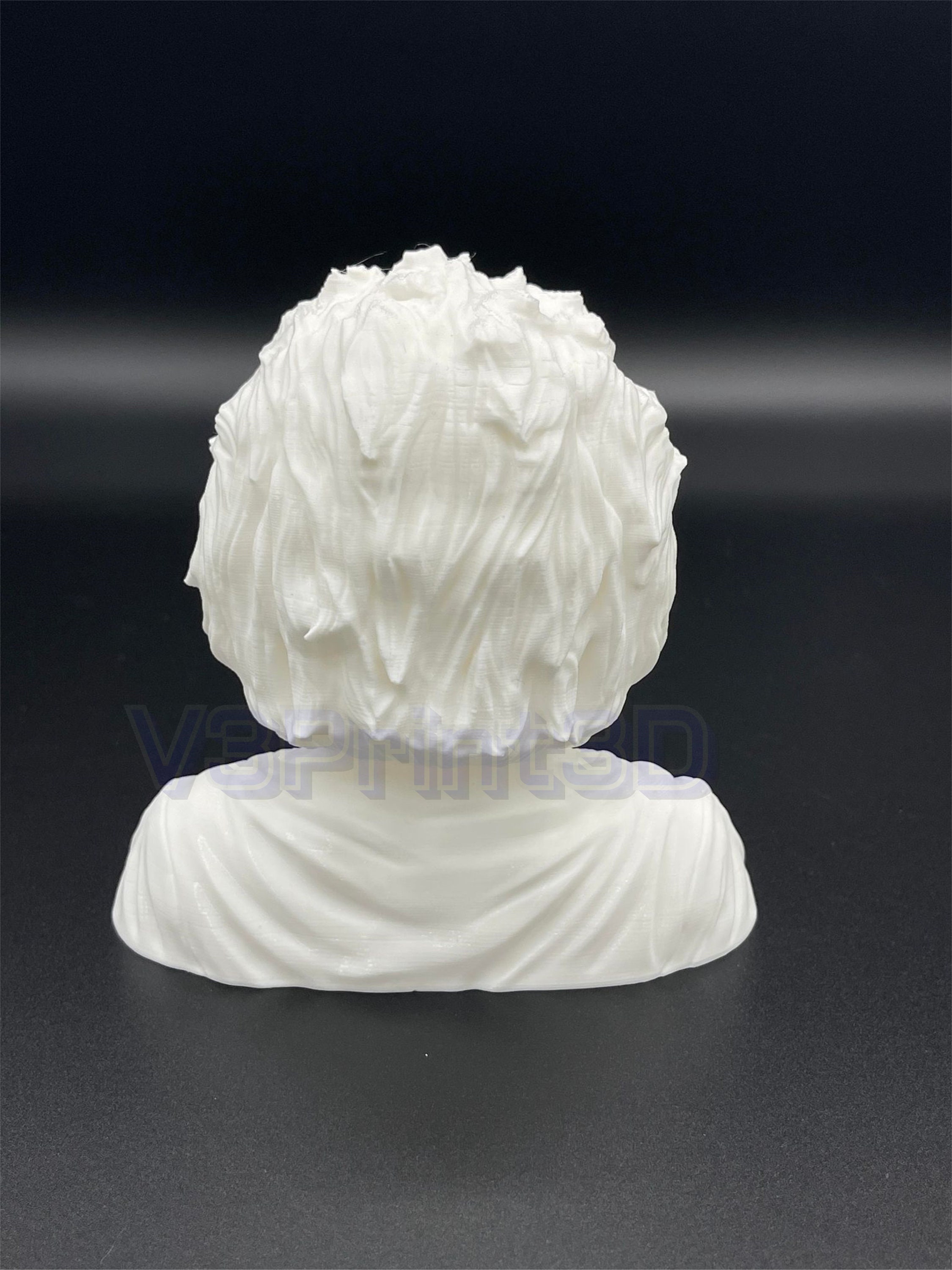 Albert Einstein Bust, Statue Decoration for Home, Office, Desk Top. - Etsy