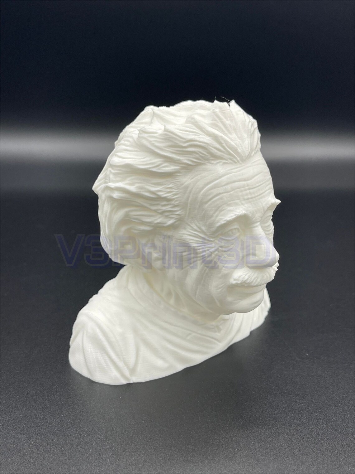 Albert Einstein Bust, Statue Decoration for Home, Office, Desk Top. - Etsy