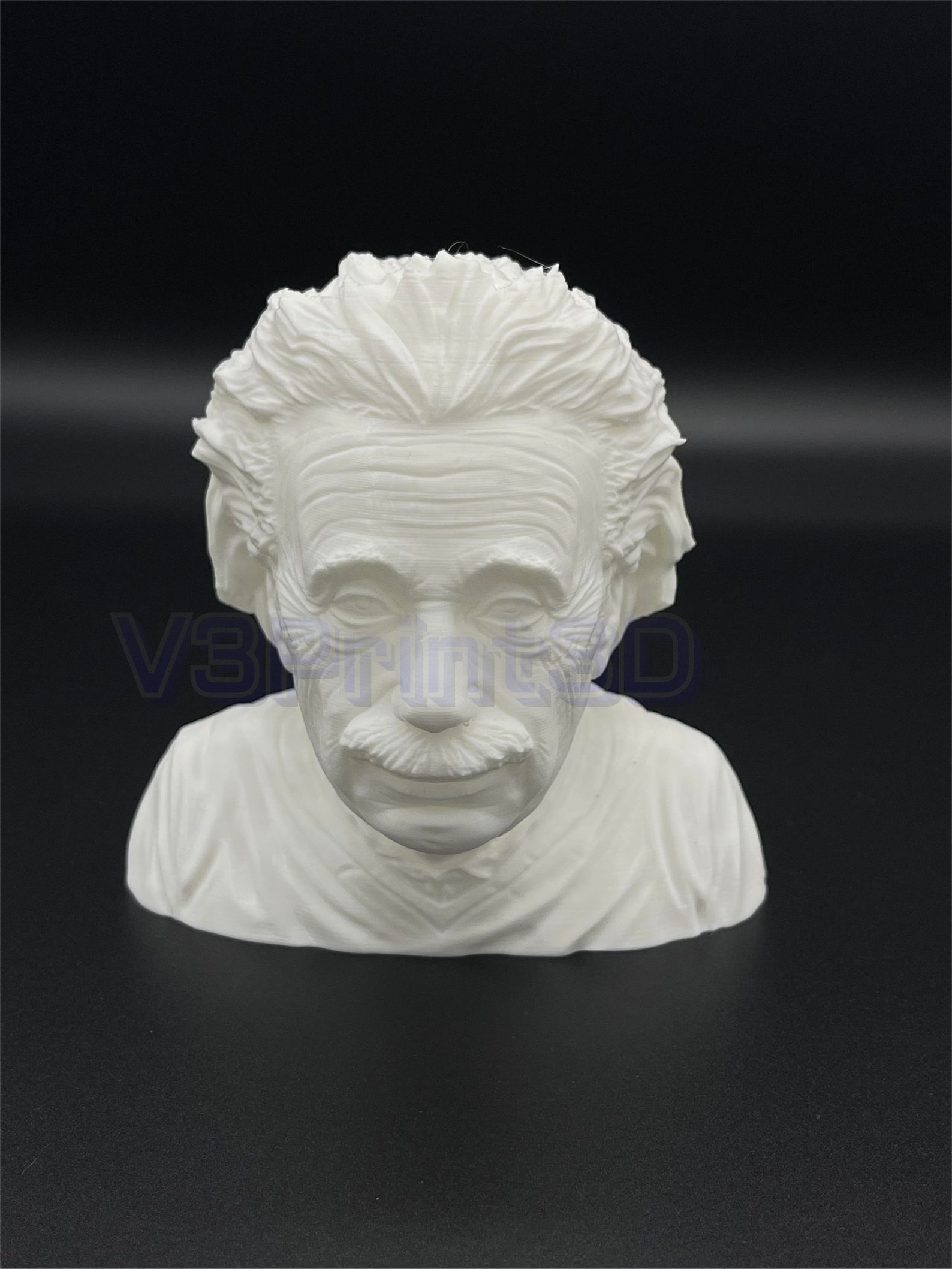 Albert Einstein Bust, Statue Decoration for Home, Office, Desk Top. - Etsy