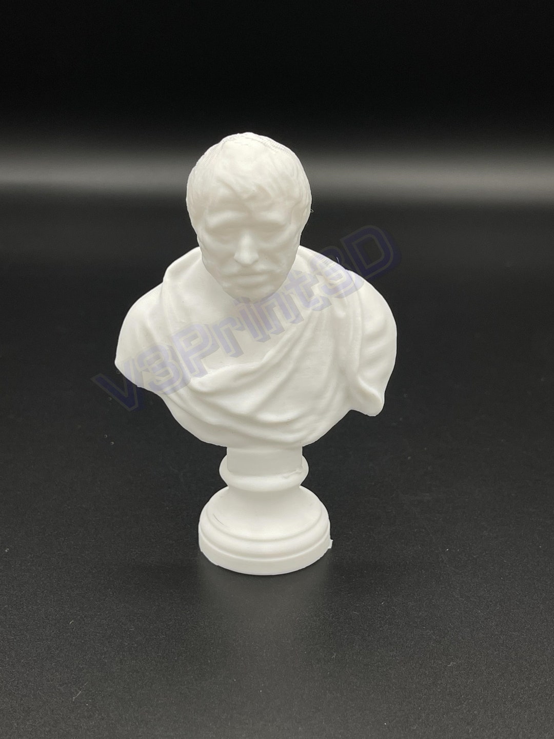 Lucius Annaeus Seneca Bust, Stoic Philosopher, Desk Top Decoration, 3D ...