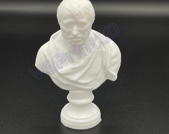 Lucius Annaeus Seneca Bust, Stoic Philosopher, Desk Top Decoration, 3D ...
