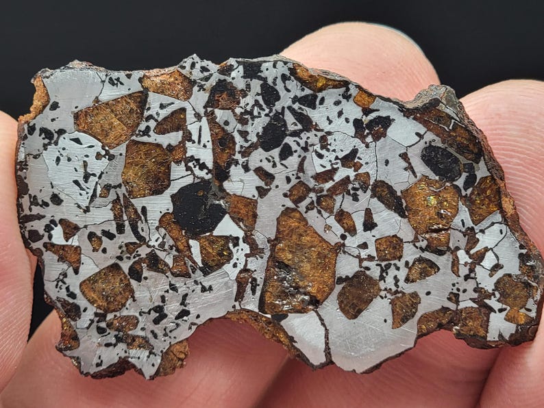 Hassi El Biod 002 (14.42g) Pallasite Meteorite Partial Slice - Etsy