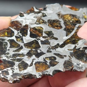 NWA 15428 (72.7g) Etched Pallasite Meteorite End Cut - Etsy