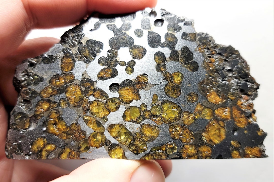 Brenham 118.75g Meteorite, Museum Cut Slice With One TRANSLUCENT ...