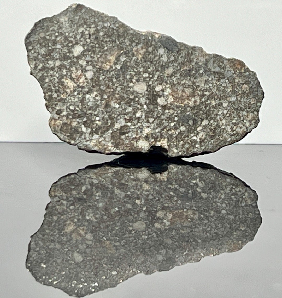 NWA 869 61.95g Polished Meteorite End Cut, L3-6 Chondrite - Etsy