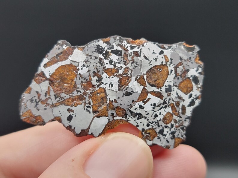 Hassi El Biod 002 (14.42g) Pallasite Meteorite Partial Slice - Etsy