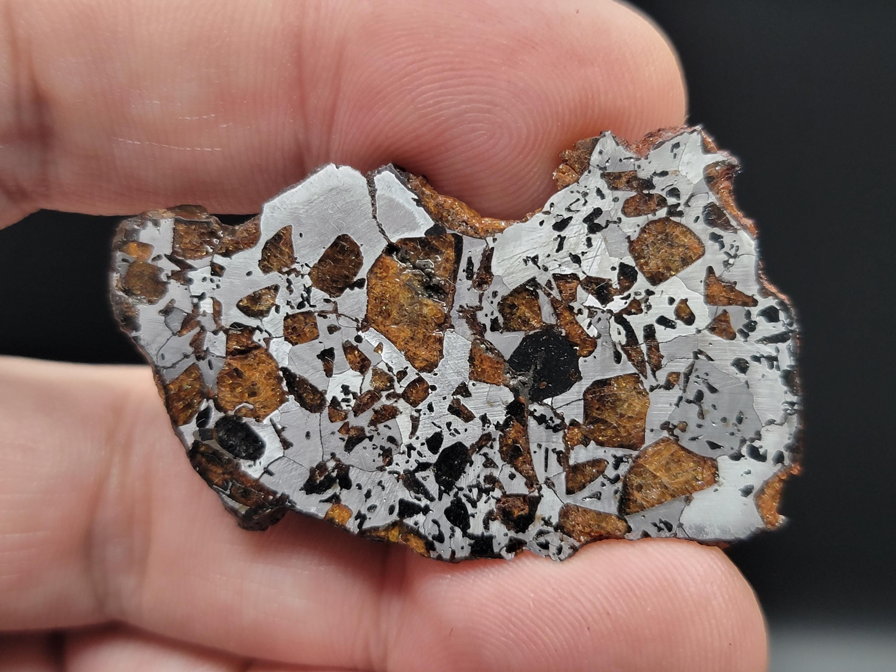 Hassi El Biod 002 (14.42g) Pallasite Meteorite Partial Slice - Etsy