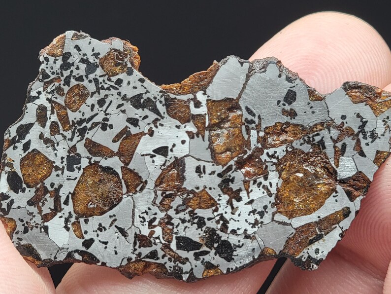 Hassi El Biod 002 (14.42g) Pallasite Meteorite Partial Slice - Etsy