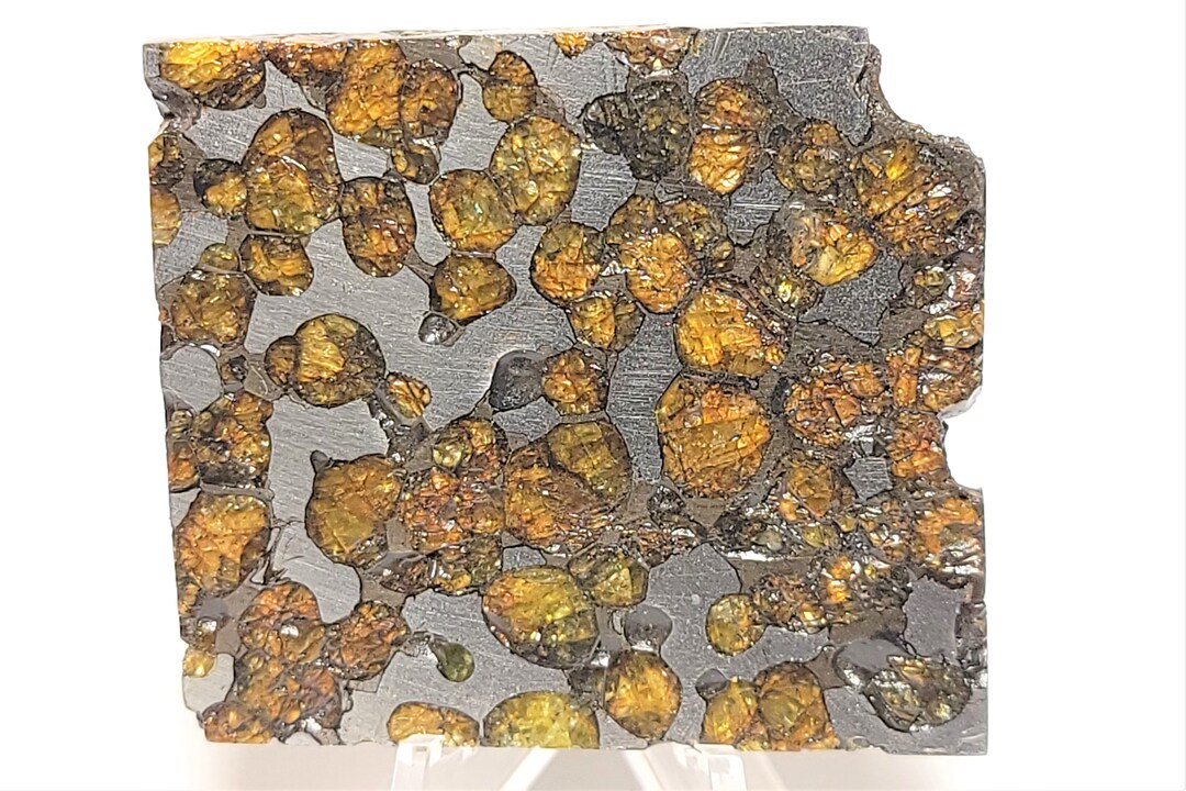 Brenham 69g Meteorite, Museum Cut Slice With One TRANSLUCENT Olivine ...