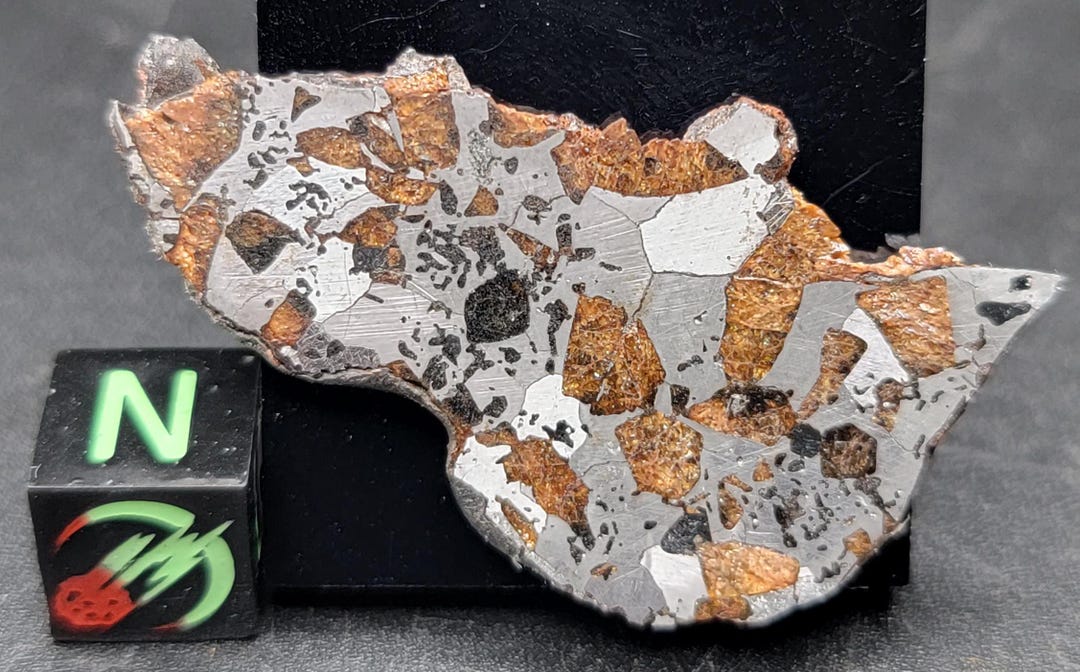 Hassi El Biod 002 (9.46g) Pallasite Meteorite Partial Slice - Etsy