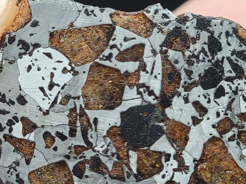 Hassi El Biod 002 (14.42g) Pallasite Meteorite Partial Slice - Etsy