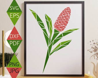 Red Hawaiian Ginger Flower - Etsy