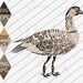 Hawaiian Nene Bird Svg, Goose Svg, Hawaiian State Bird Svg, Hawaii Nene ...